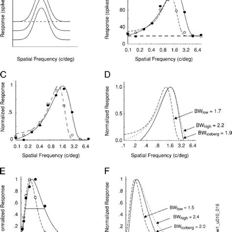 can a reduction in spatial frequency bandwidth be explained by a