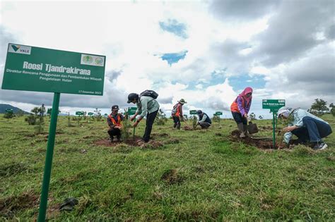 Hadirkan Masa Depan Berkelanjutan PT Vale Dukung Rehabilitasi DAS Di Sulawesi Selatan PALOPOPOS