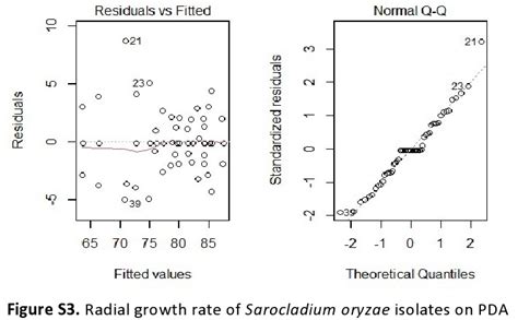 Variability Of Sarocladium Oryzae Sawada Games And Hawksworth And