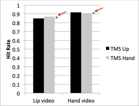 Talking Brains The Embodied Cognition Challenge