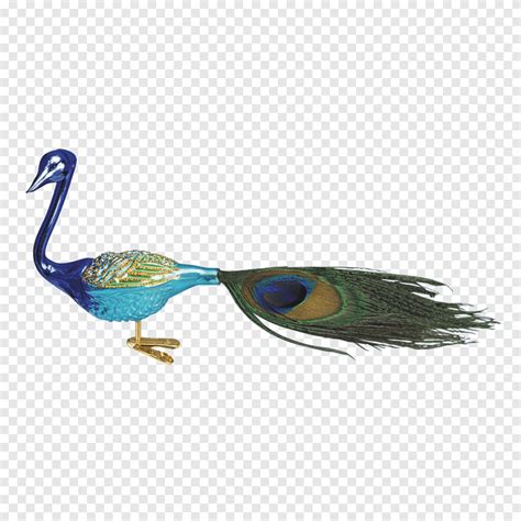 Pájaro navidad adorno vidrio pavo real pavo real vaso animales png PNGEgg