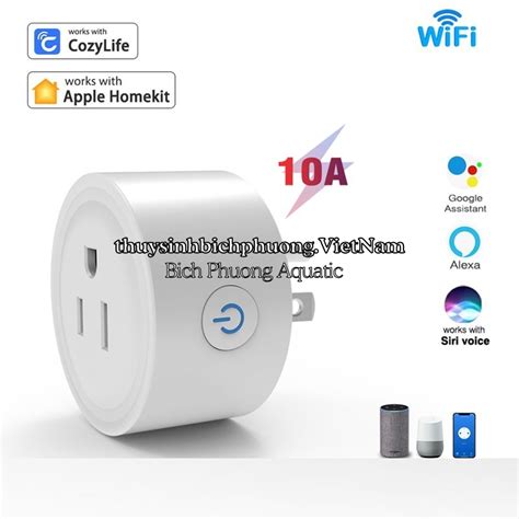 Timer Ổ CẮm HẸn GiỜ Wifi ThÔng Minh SỬ DỤng App Cozy Life GiÚp BẠn