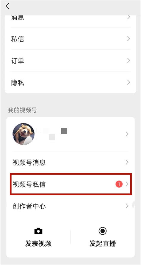微信怎么看视频号私信 微信私信查看方法介绍 图文 游戏窝