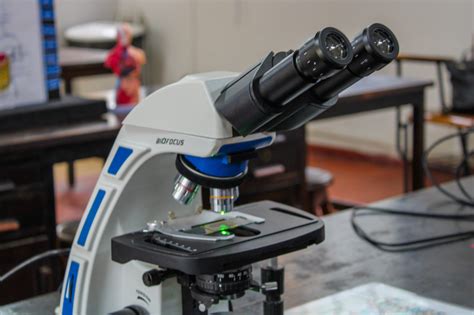 Instituto De Ciências Biológicas E Da Saúde Na Snct Um Passeio Pela
