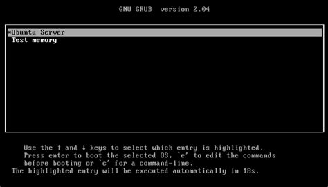 How To Install Ubuntu Server 2010 Groovy Gorilla Devtutorial