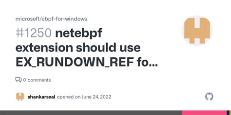 netebpf extension should use ex rundown ref for rundown protection
