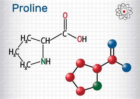 Premium Vector Proline L Proline Pro P Proteinogenic Amino Acid Molecule Sheet Of Paper In A