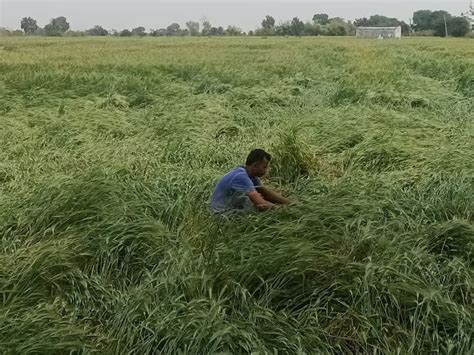Bhartiya Kisan Sangh Submitted Memorandum Demanding Compensation By
