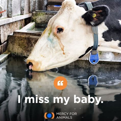 Clara Pacinelli Posted On Linkedin