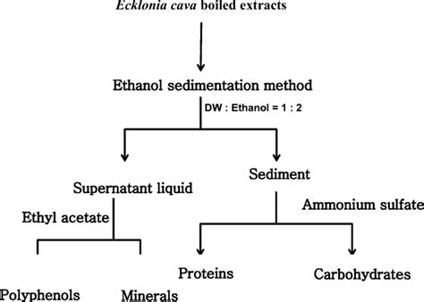 Extraction Approaches Of Ebe Using Solvent Solvent Partition