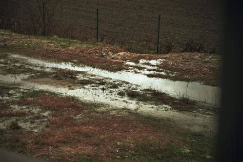 Premium Photo Flooded Field After Heavy Rain Problem Of Rainwater