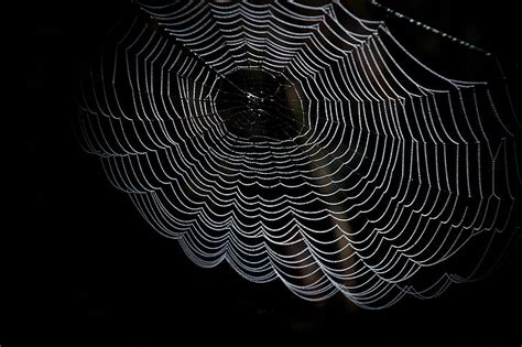 Guida Web Come Creare Un Blog Anonimo Mondotecno