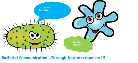 Bacteria Also Use Social Network For Communication Microbioz India
