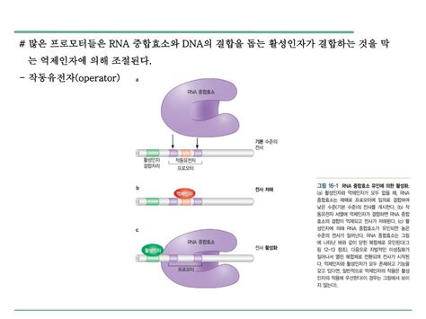 Ppt 9 장 Powerpoint Presentation Free Download Id4468778