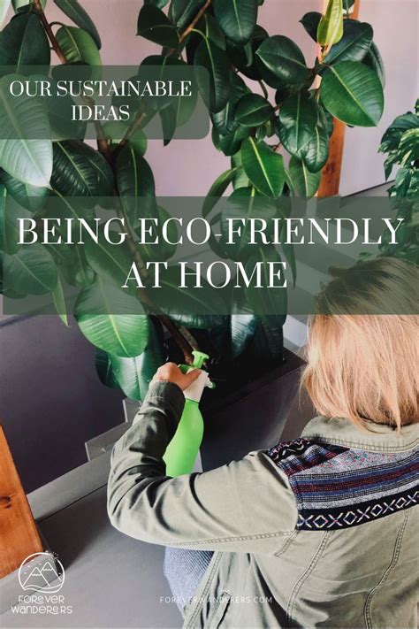 Adopting Eco Friendly Habits At Home Em 2020