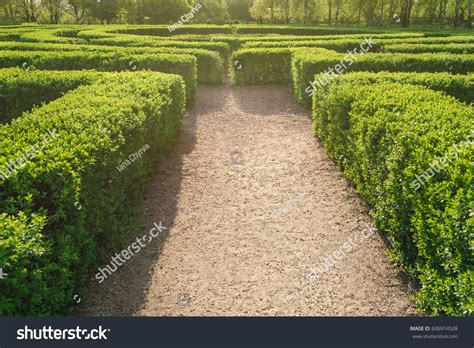 Labyrinth Maze Over 19 355 Royalty Free Licensable Stock Photos