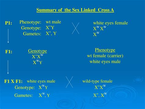 Ppt Module 10 Powerpoint Presentation Free Download Id 3954591