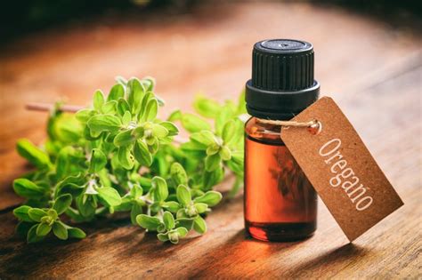 7 Home Remedies For Skin Fungus That Actually Work Small Joys