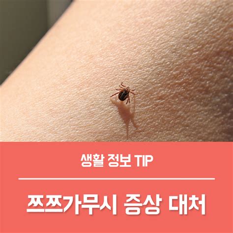 쯔쯔가무시 뜻 증상 물린 자국 진드기 물렸을때 대처법 네이버 블로그
