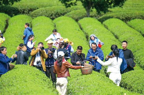 茶香浏阳河浏阳要闻浏阳日报 浏阳网