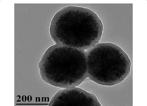 Fe 3 O 4 C Core Shell Nanoparticles Consist Of A Magnetic Core And Download Scientific Diagram