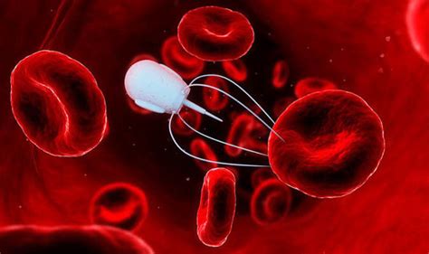 The Importance And Uses Of Nanotechnology In Medicine Science Online