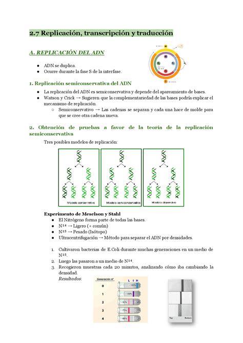 Replicación Transcripción Y Traducción Del Adn Y Biotecnología