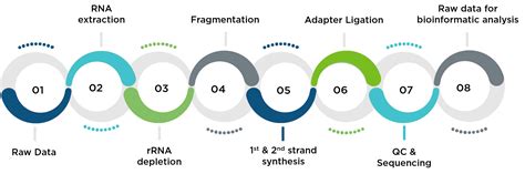 Metatranscriptomics — Microbiome Insights