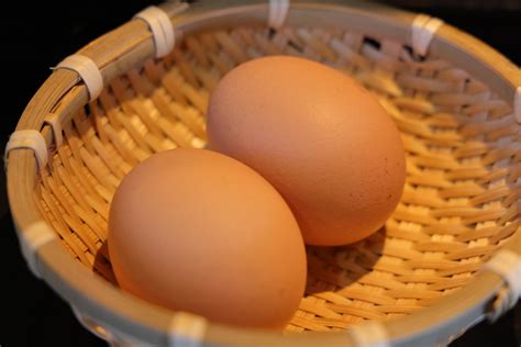 「卵」と「玉子」の違いとは？わかりやすく解説 違い事典オンライン