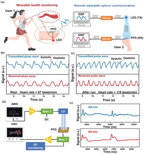 Demonstration Of The Self‐powered Flexible Mixed Snpb Fmsp