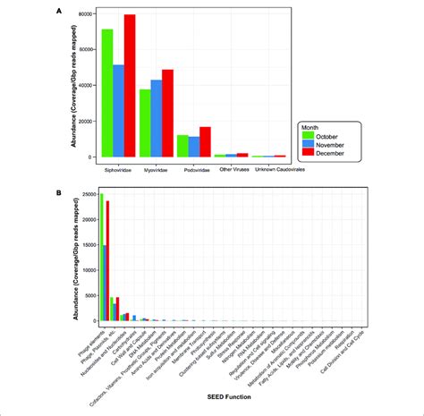 Viral Taxonomy And Function For Each Sampling Date Bar Plots Download Scientific Diagram