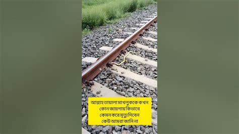 আল্লাহ তাআলা মাখলুক ক কখন কোন জায়গায কিভাবে কেমন করে মৃত্যু দিবেন কেউ
