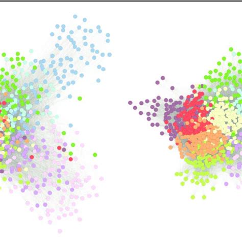 Comparison Between Ground Truth Communities Species And Groups Download Scientific Diagram