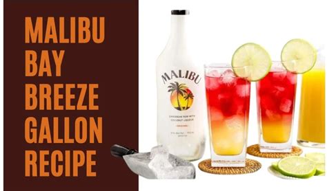 Malibu Bay Breeze Gallon Recipe