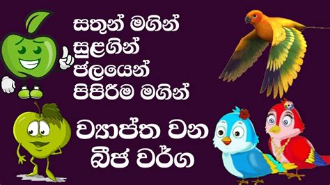 Methods Of Seed Dispersal බීජ ව්‍යාප්ත වන ක්‍රම 😮 Shorts Youtube
