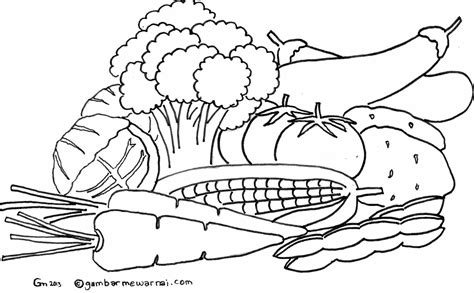 Gambar Sayur Sayuran Mewarnai Sketsa Gambar Buah Dan Sayuran Gambar