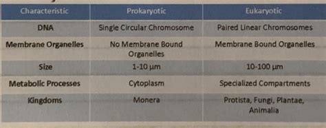 Microbiology Lab Taxonomy Flashcards Quizlet
