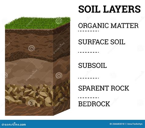 Soil Layers Surface Horizons Upper Layer Of Earth Structure With