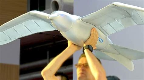 Bionic Flying Bird Soars At China Robot Show World News