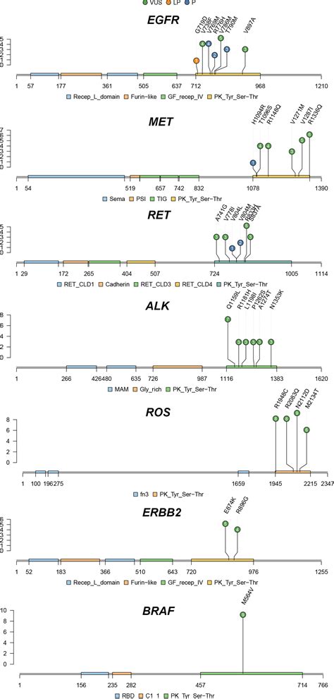 Frontiers Profiling Oncogenic Germline Mutations In Unselected Chinese Lung Cancer Patients