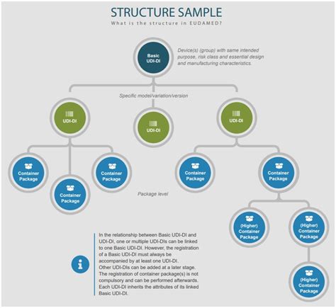 2024 Eu Guide Mdr Ivdr Basic Udi Di Casus Consulting