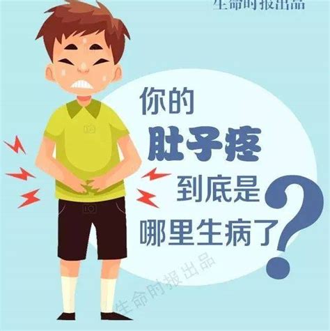 【健康科普】「肚子疼」到底是哪儿疼？看7个腹痛位置就知道地址淄博市和平小区