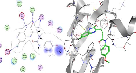 The Proposed 2d Left And 3d Right Binding Interaction Of Compound