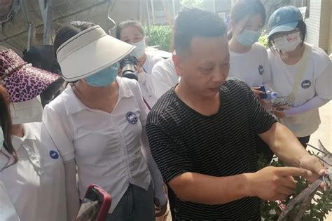 南皮好网民王春友一锤一錾匠心浓 省级非遗王厂錾铜传承人