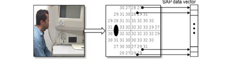 Sap Visual Field Collection A Sample Pattern And Data Vector