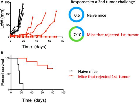 Combined Treatment With Systemic Anti Pd 1 And Intratumoral Hdaci