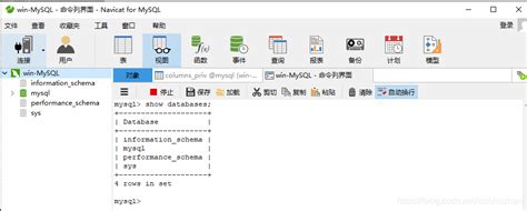 【庖丁解牛】navicat For Mysql连接时候报错1251无法连接mysql49天精通云计算运维 Csdn专栏