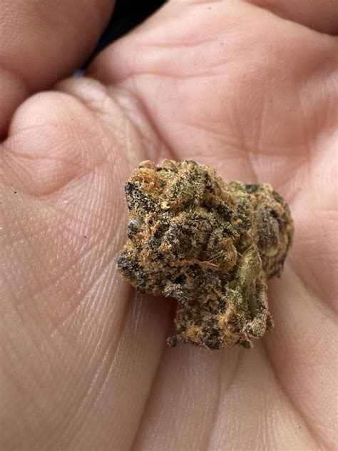 My Body My Medicine On Linkedin Community Payitforward Puffpuffpass