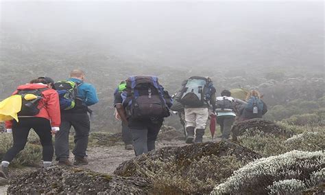 9 días de Escalada al Kilimanjaro por la Ruta del Circuito Norte