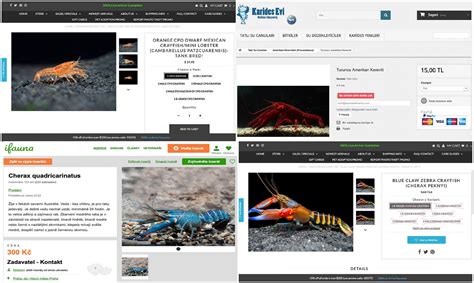 Online Marketplaces Create New Routes For The Spread Of Invasive